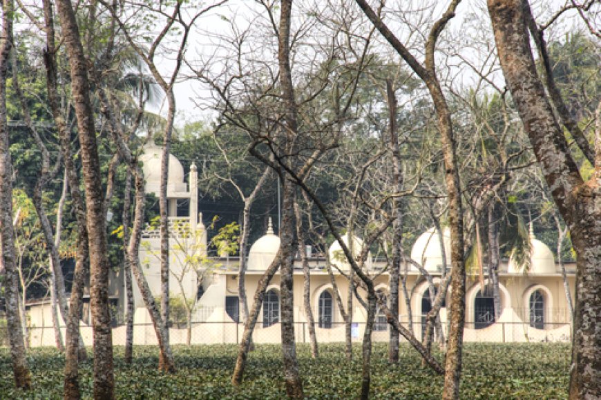 The Syed Family of Taraf: Ushering Islamic Rule in South Sylhet ...