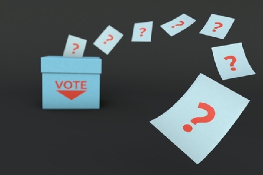Which Charter Reforms Are You Voting For? No One Knows. - Counterpoint